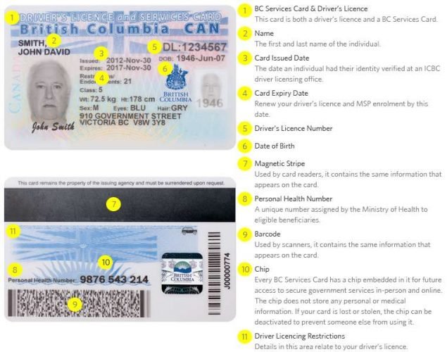 BC Driver's Licence and Services Card - David Yin's Blog