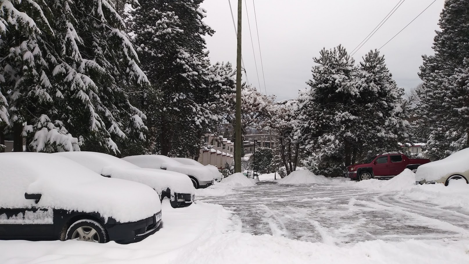Heavy Snow in Vancouver Jan. 2020 - David Yin's Blog